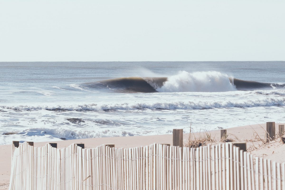 Ocean City Surf Club Maryland Non-Profit | Adopt Your Beach
